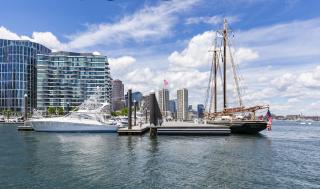 The Marina | Fan Pier Marina